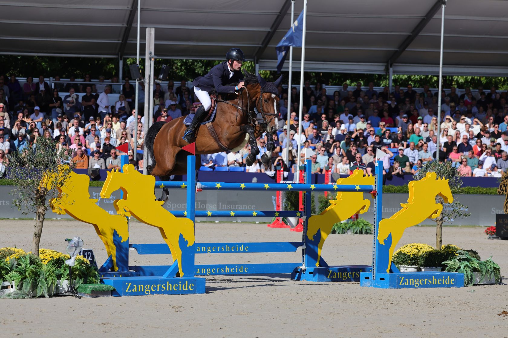 Max van de Poll en Ortane springen op indrukwekkende wijze naar de wereldtitel bij de zesjarigen